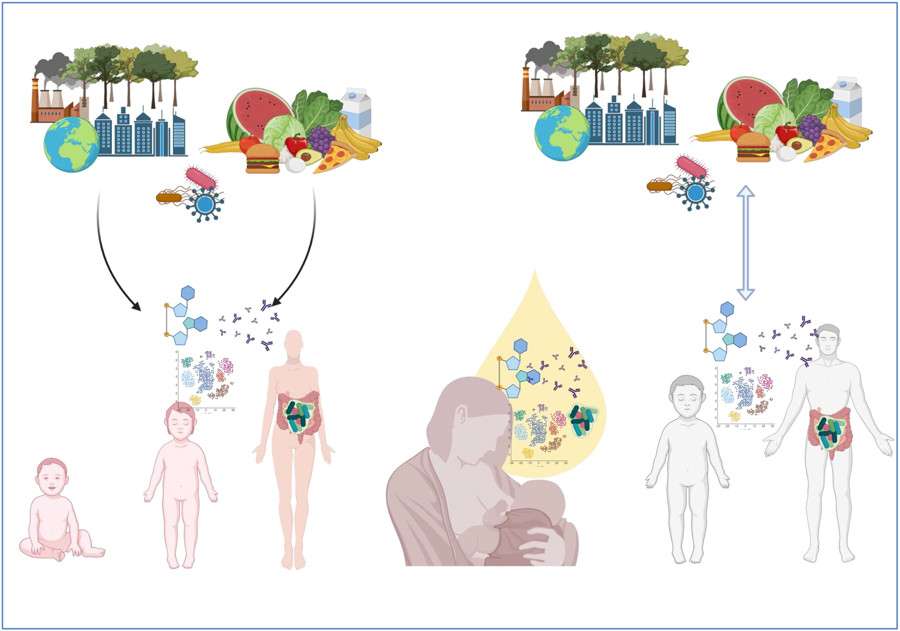 On feeding the infant immune system, LRF CIBF, UWA | Family Larsson ...